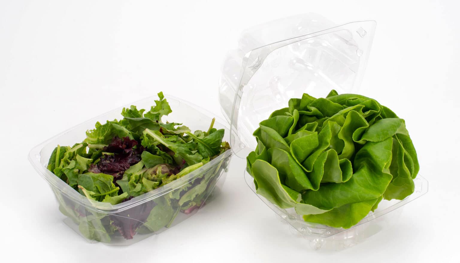 Fruit and Produce Packers - Sun America